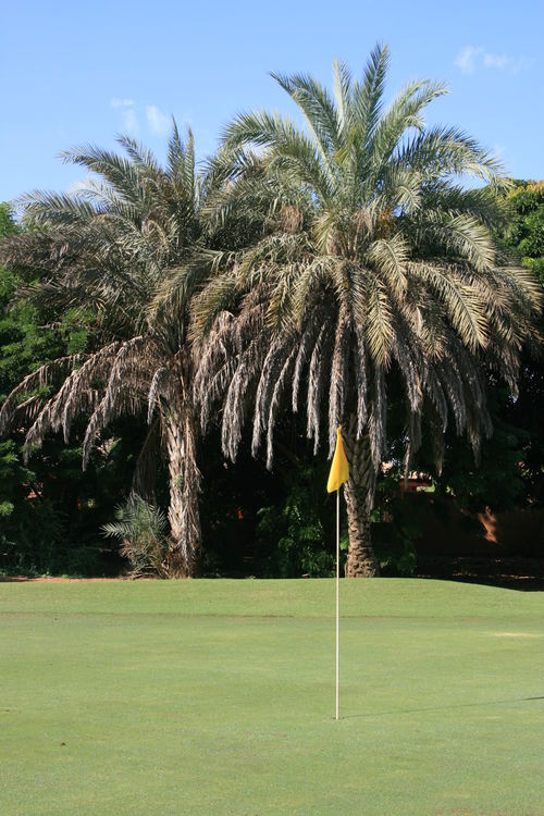 Golf de Saly | All Square Golf