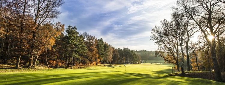 Top 50 Golf Courses in Germany | All Square Golf