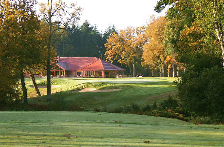 Remedy Oak | All Square Golf