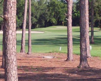 Atlantis Country Club | All Square Golf