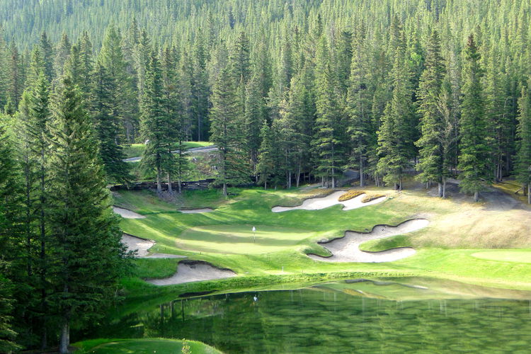 Banff Springs Golf Club | All Square Golf