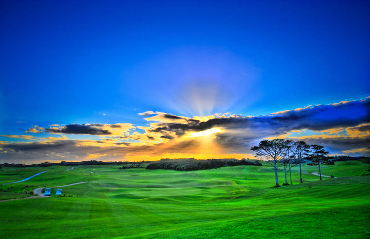 Carrington Park Golf Club | All Square Golf