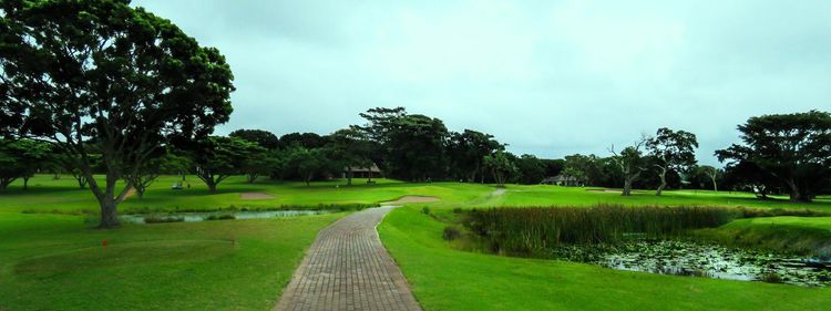 Selborne Country Club | All Square Golf