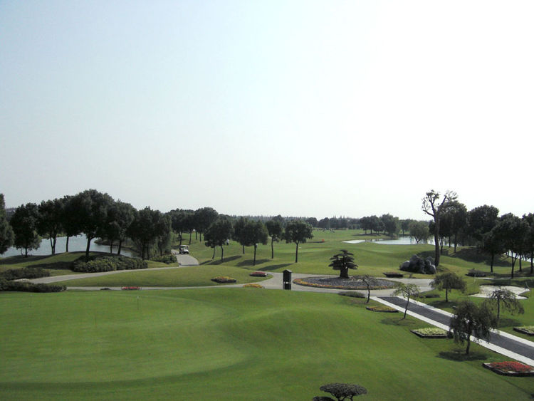 Enhance Anting Golf Club | All Square Golf