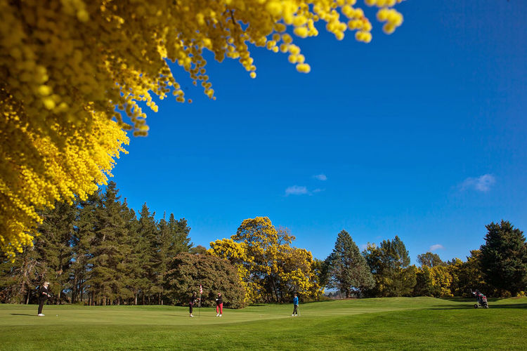 Hastings Golf Club | All Square Golf