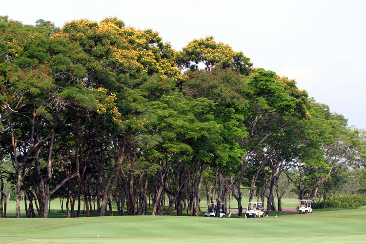 Navatanee Golf Course | All Square Golf