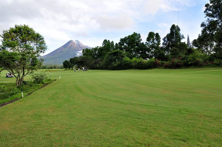 Merapi | All Square Golf