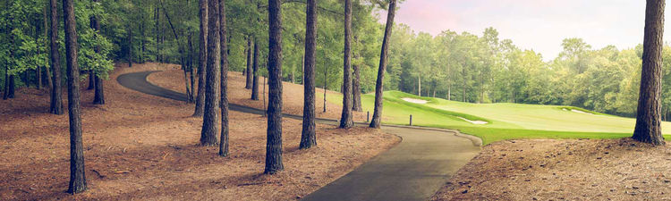 Farmlinks at Pursell Farms | All Square Golf