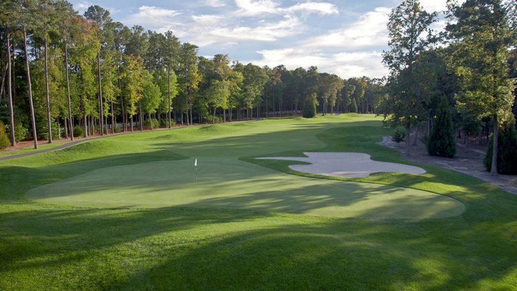 Baywood Greens | All Square Golf