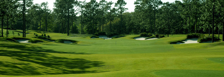 Victoria Hills Golf Club | All Square Golf