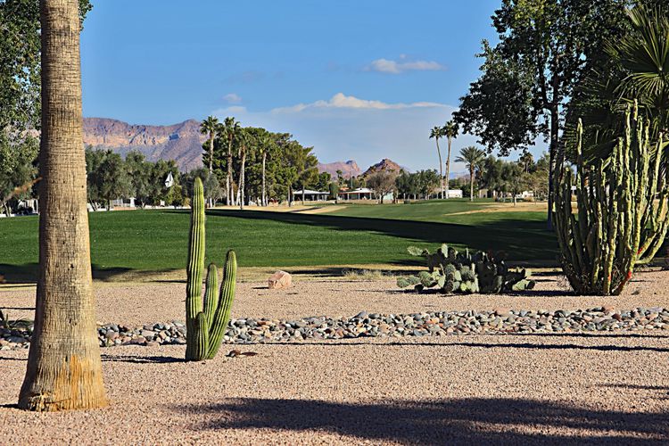 Apache Wells Country Club | All Square Golf