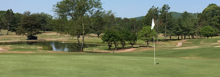 The 500 Club | All Square Golf