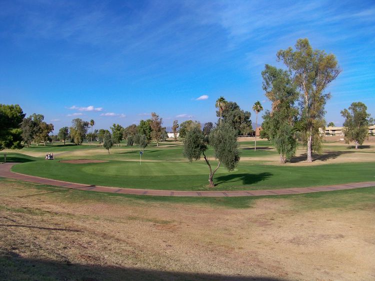 Executive at Continental Golf Course | All Square Golf