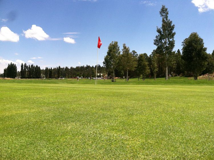 Timberline Short Nine | All Square Golf