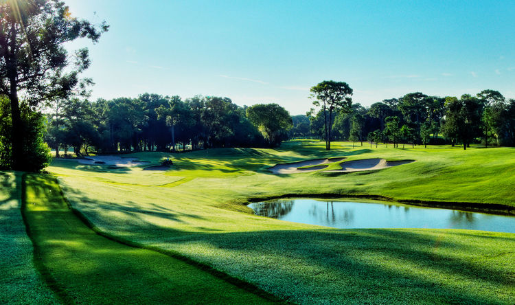 Tarpon Springs Golf Course | All Square Golf