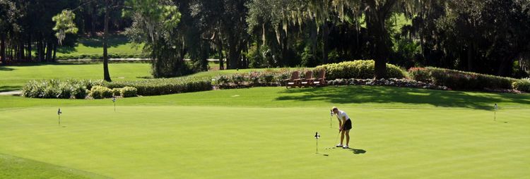 Innisbrook Resort and Golf Club - The Island | All Square Golf