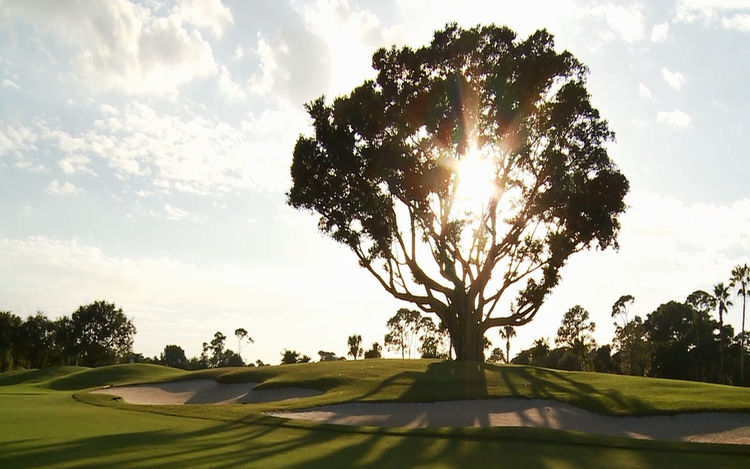 Seagate Country Club | All Square Golf