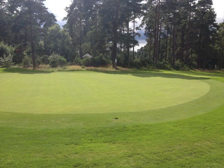 Olton Golf Club | All Square Golf