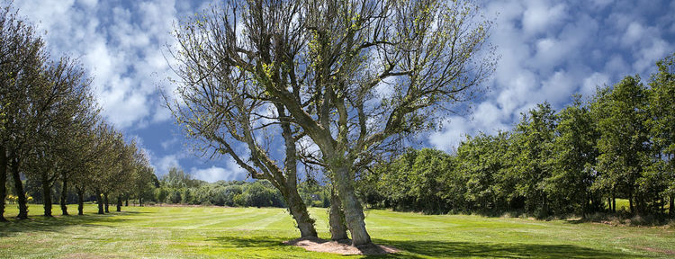 Blackley Golf Club | All Square Golf