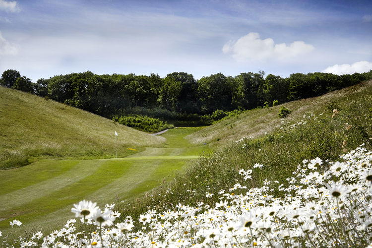 Royston Golf Club | All Square Golf