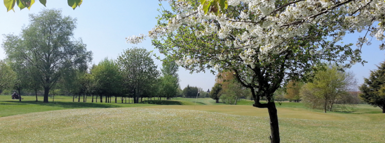 Wexham Park Golf Club | All Square Golf