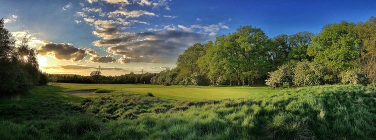 Elton Furze Golf Club | All Square Golf