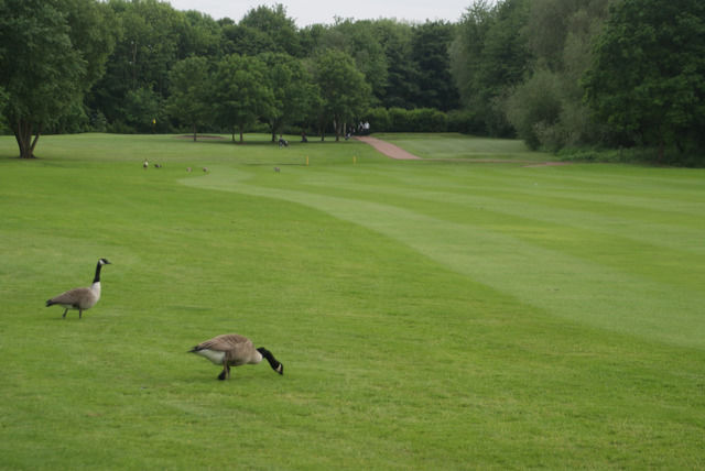 Didsbury Golf Club | All Square Golf