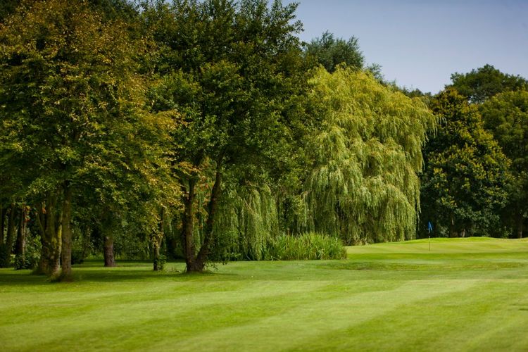 Manor (Laceby) Golf Club | All Square Golf