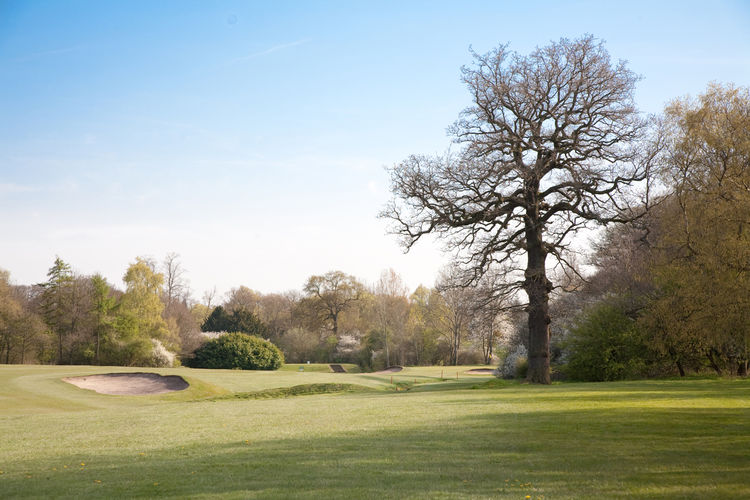 Finchley Golf Club | All Square Golf