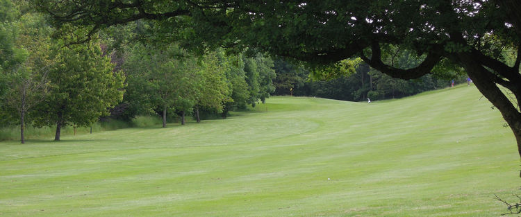 Naunton Downs Golf Club | All Square Golf