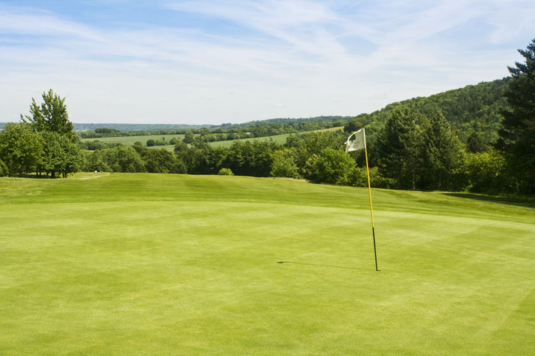 Chiltern Forest Golf Club | All Square Golf