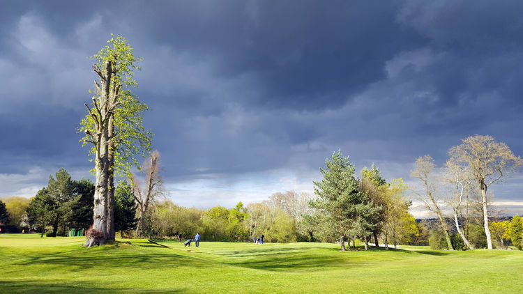 Pinner Hill Golf Club | All Square Golf