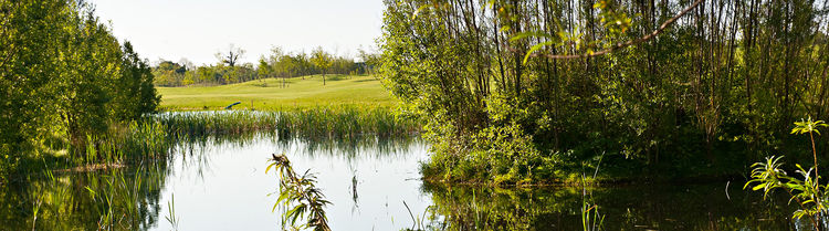 Swords Golf Club | All Square Golf