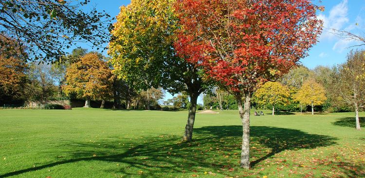 Old Conna Golf Club | All Square Golf