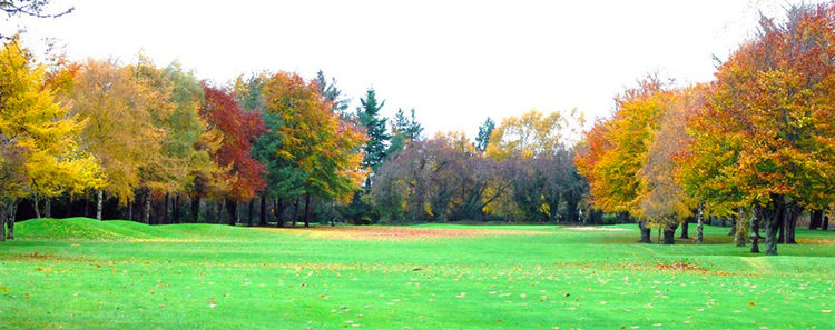 Limerick Golf Club | All Square Golf