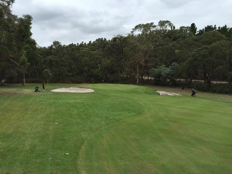 Millicent Golf and County Club | All Square Golf