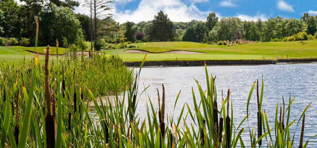 Naas Golf Club | All Square Golf