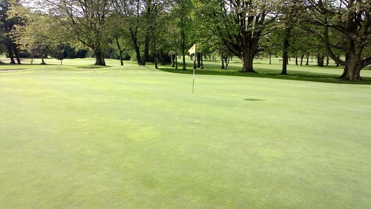 Shandon Park Golf Club | All Square Golf