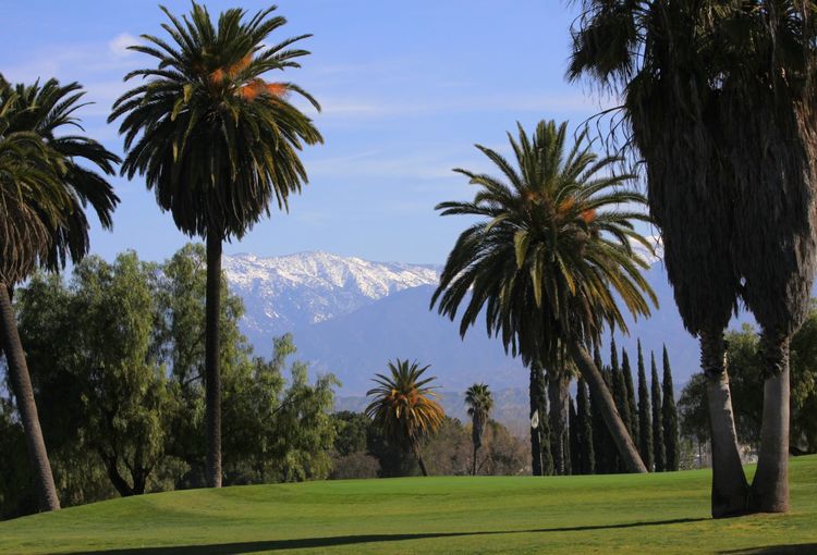 General Old Golf Course | All Square Golf