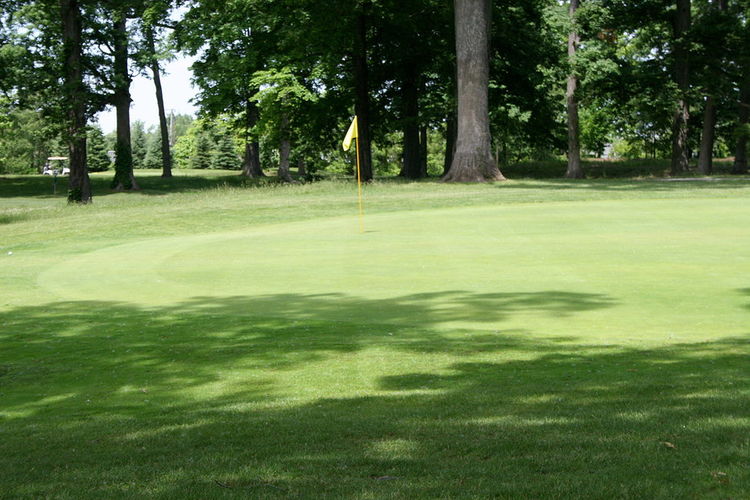 Donald Ross Golf Club | All Square Golf