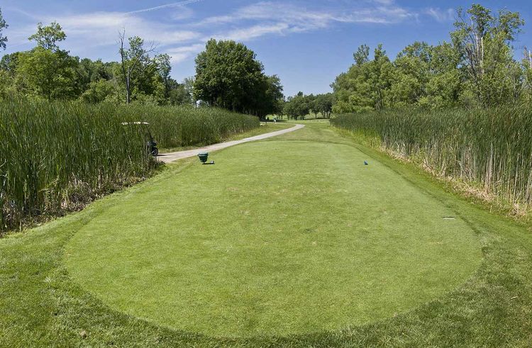 East Aurora Country Club | All Square Golf