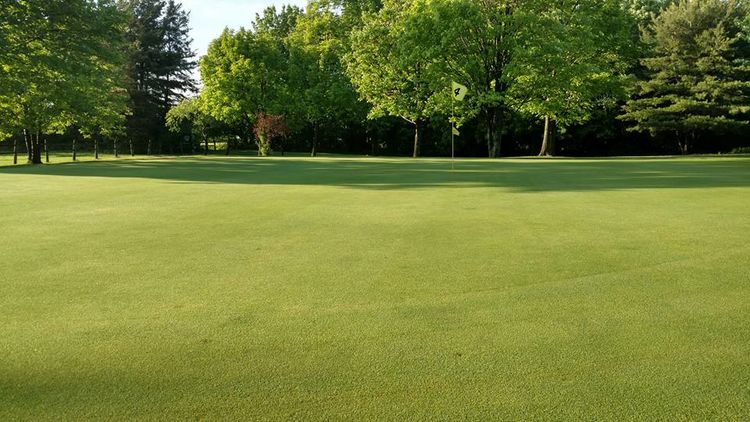 Turkey Run Golf Course | All Square Golf