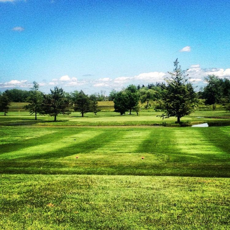 Springville Country Club | All Square Golf