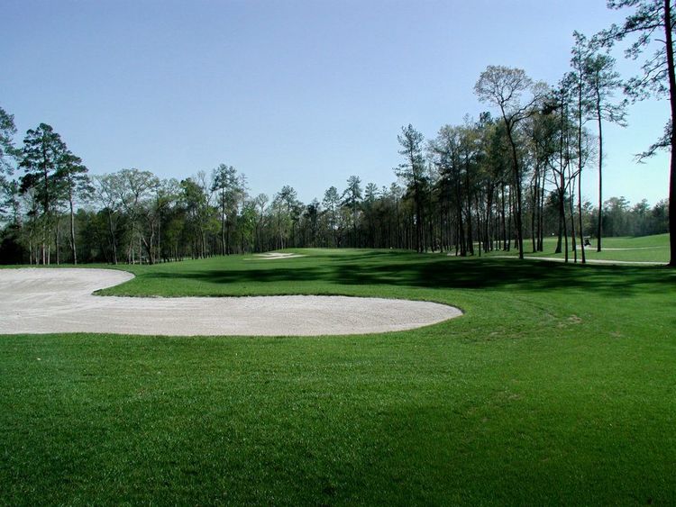 Augusta Pines Golf Club | All Square Golf