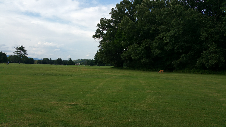 Moccasin Bend Golf Club | All Square Golf