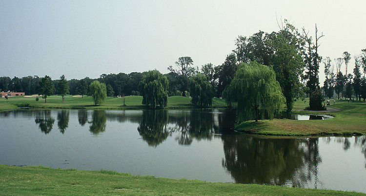 Honey Bee Golf Club | All Square Golf