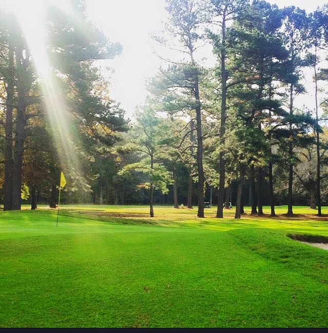 Honey Bee Golf Club | All Square Golf