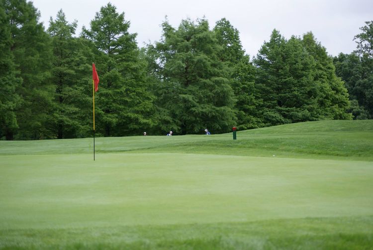 Griffith E. Harris Golf Course | All Square Golf