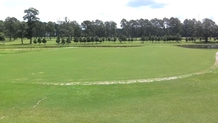 Cairo Country Club | All Square Golf