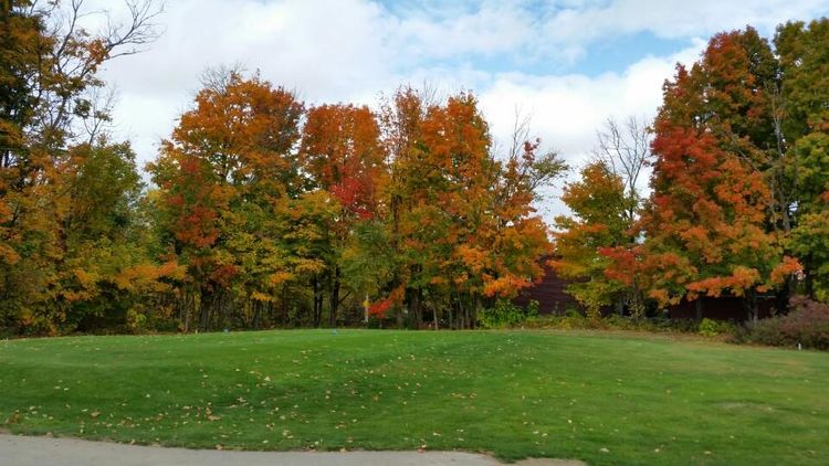 Clearview Country Club | All Square Golf